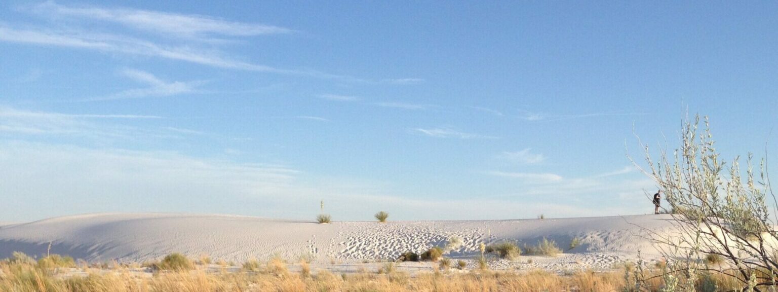 2025 Convention Schedule – AVA